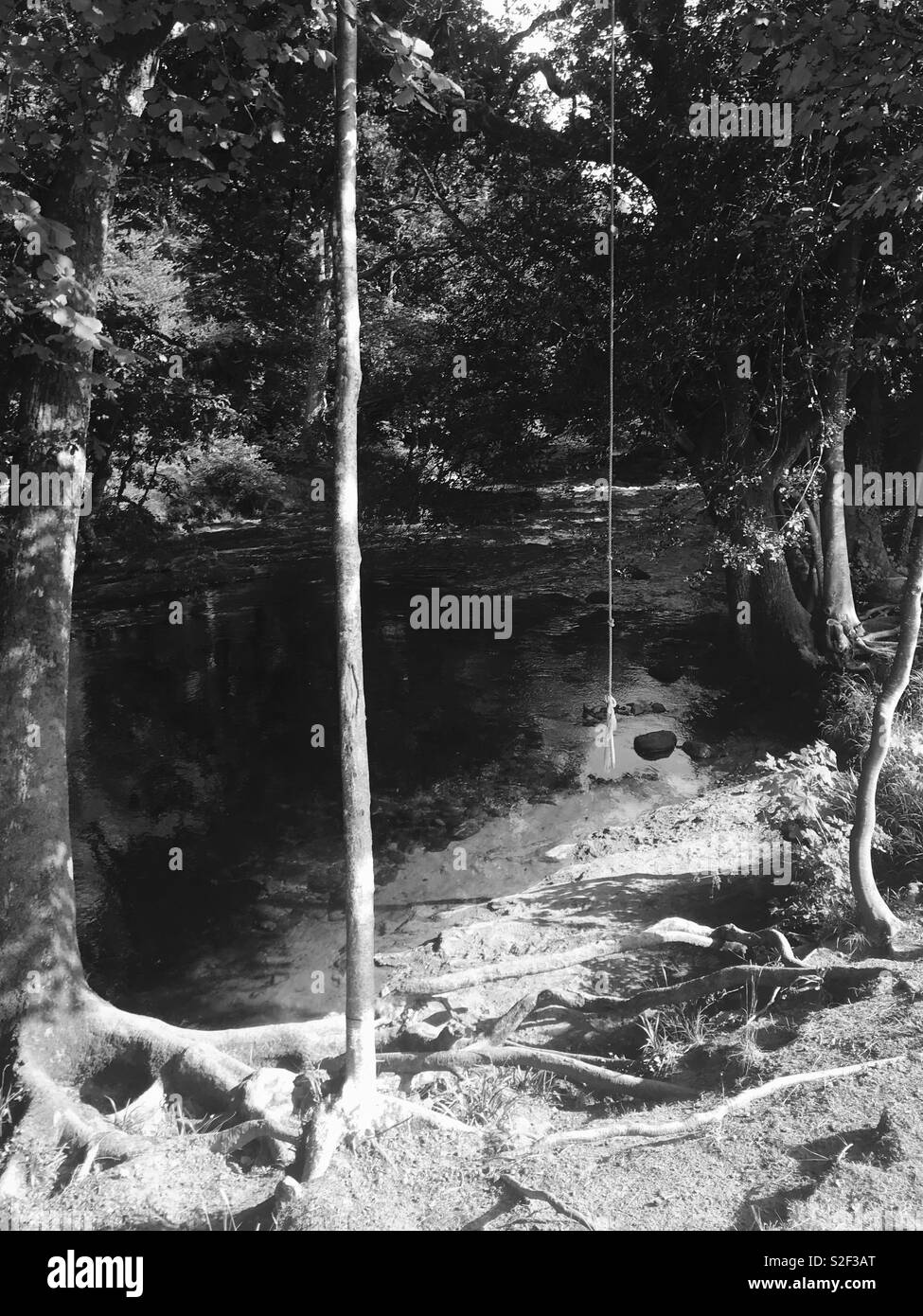 Riverside swing hi-res stock photography and images - Alamy