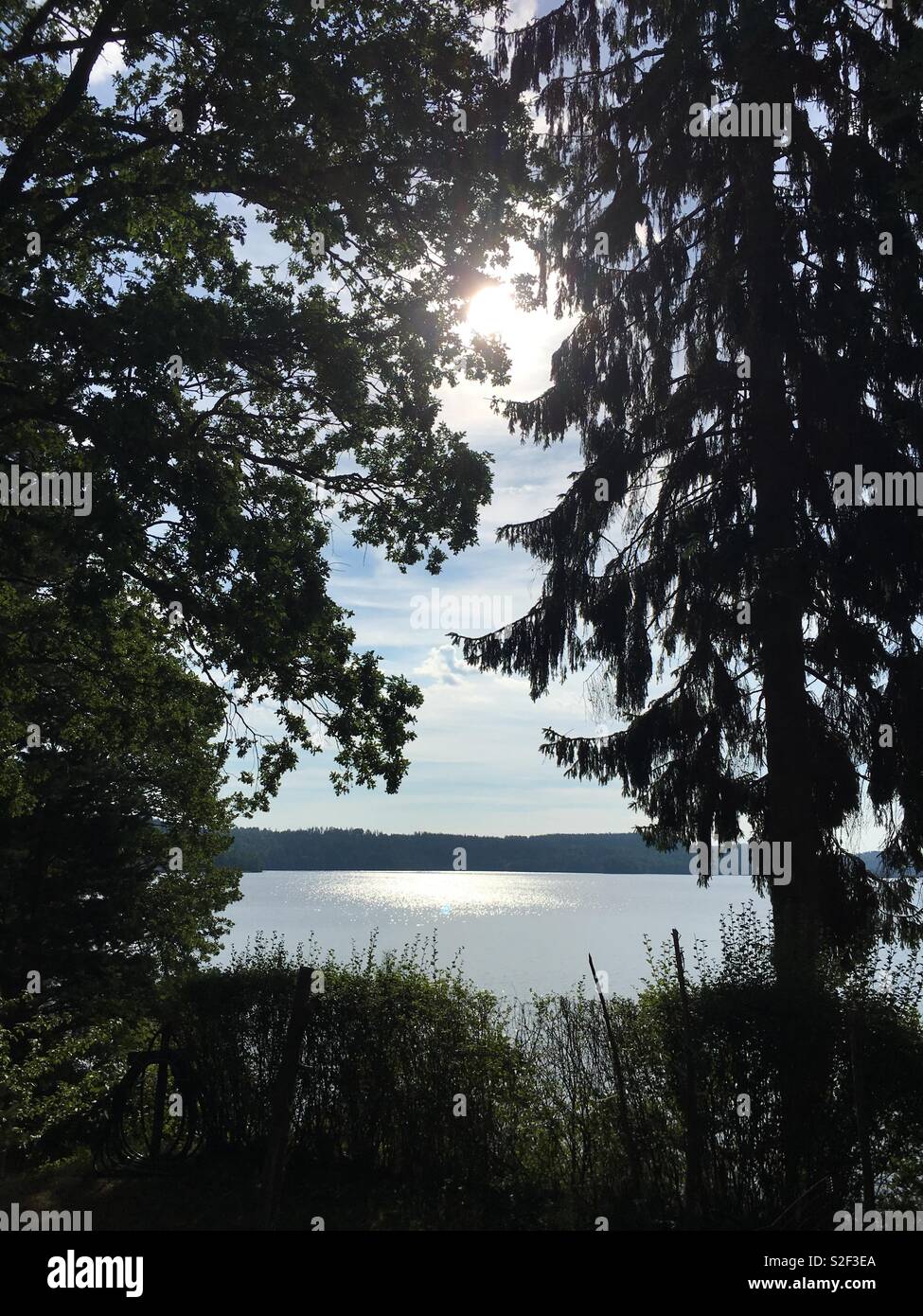 Nature in Sweden Stock Photo - Alamy