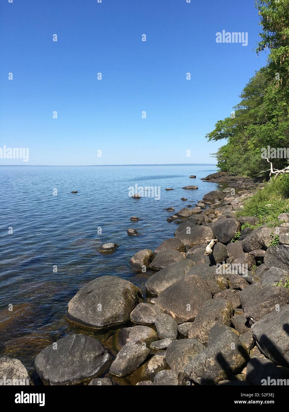 Lake and rocks in Sweden Stock Photo - Alamy