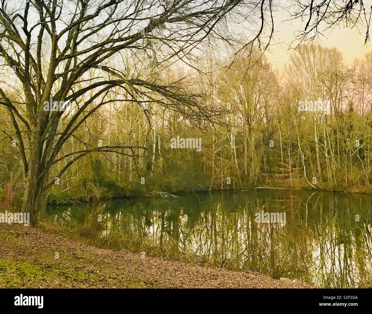 Sunlight peaceful hi-res stock photography and images - Alamy