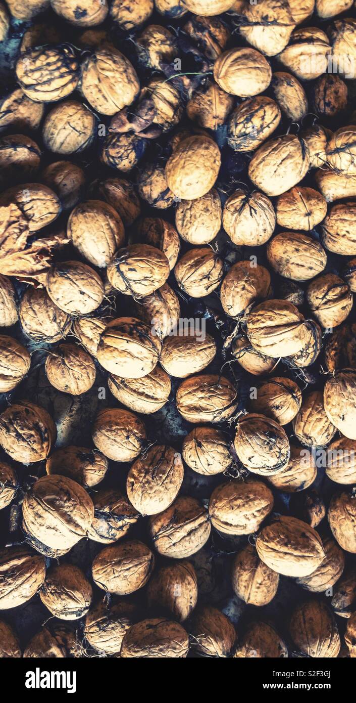 Harvest of walnuts hi-res stock photography and images - Alamy
