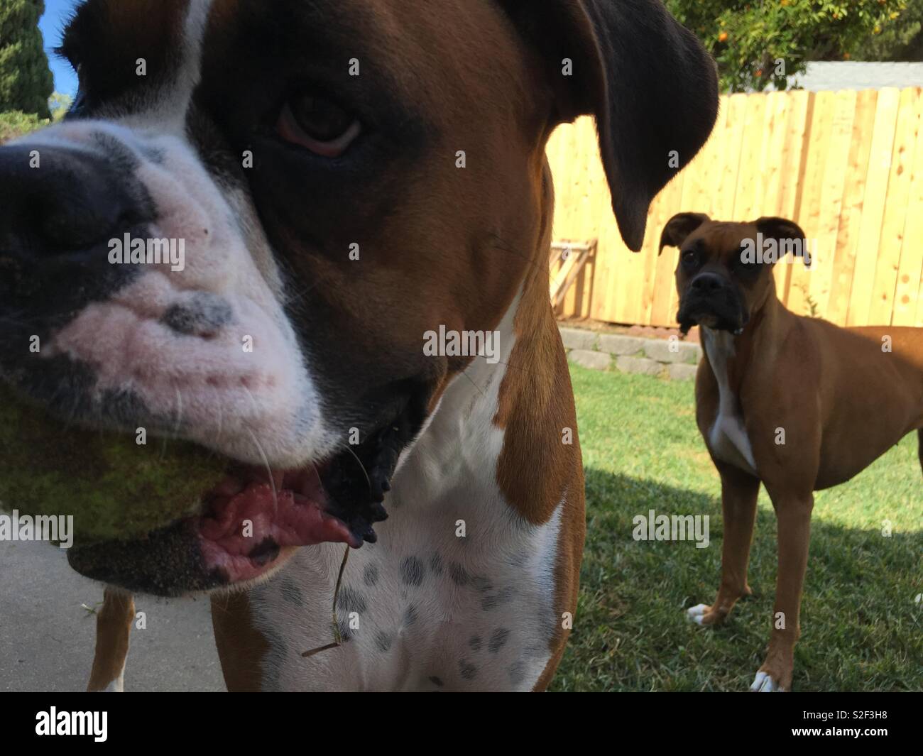 Envious hi-res stock photography and images - Alamy