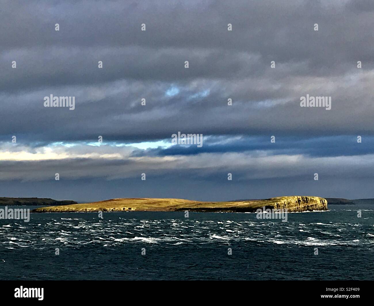 Uninhabited desert Orkney island of Switha in Scotland Stock Photo - Alamy