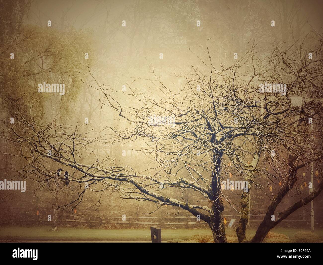 Nostalgic winter hi-res stock photography and images - Alamy