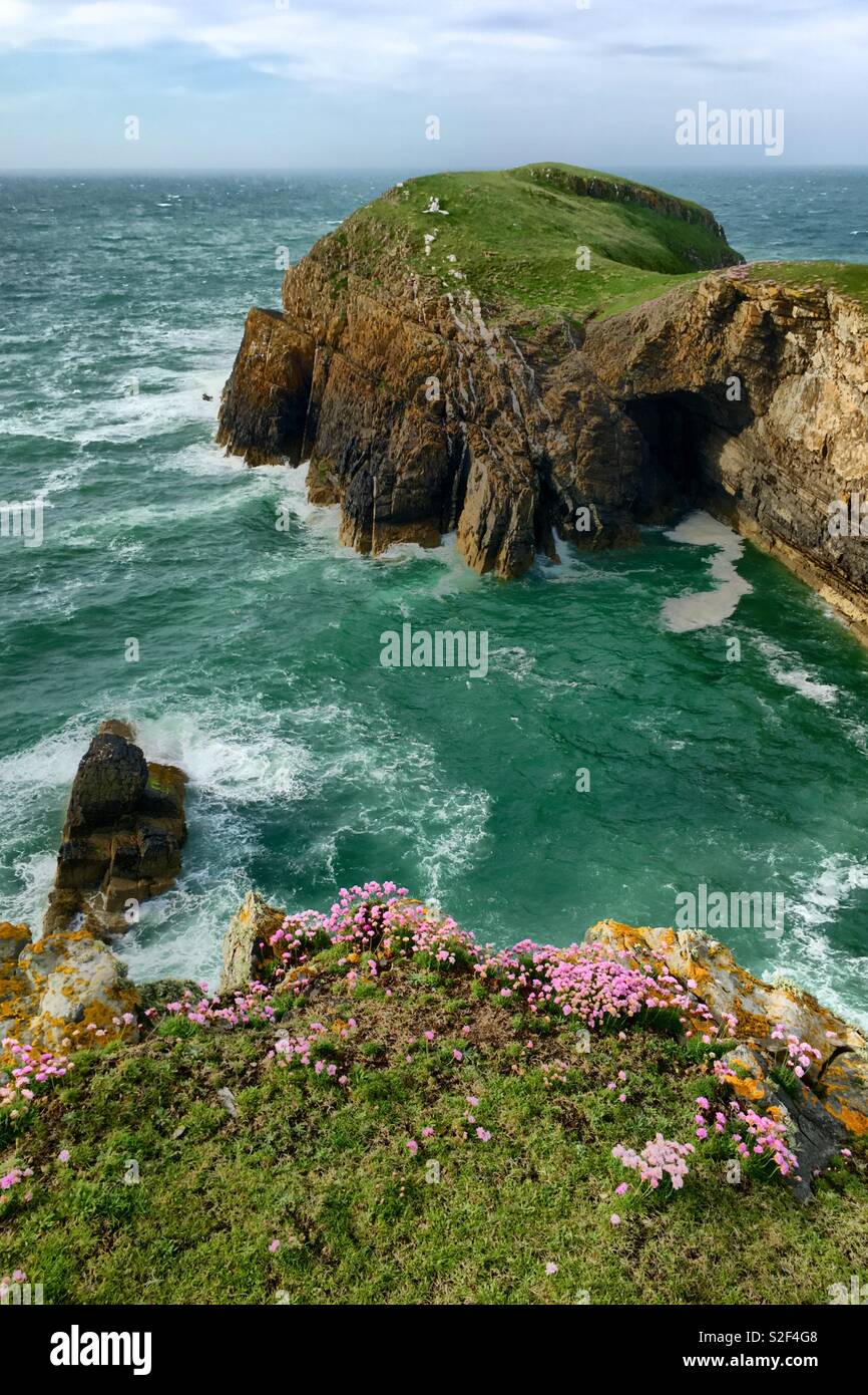 Grass headland hi-res stock photography and images - Alamy