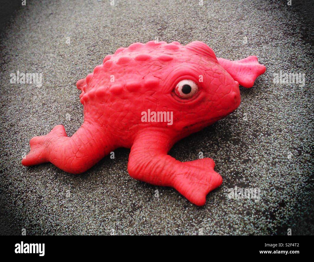 Rubber Red Frog Stock Photo - Alamy