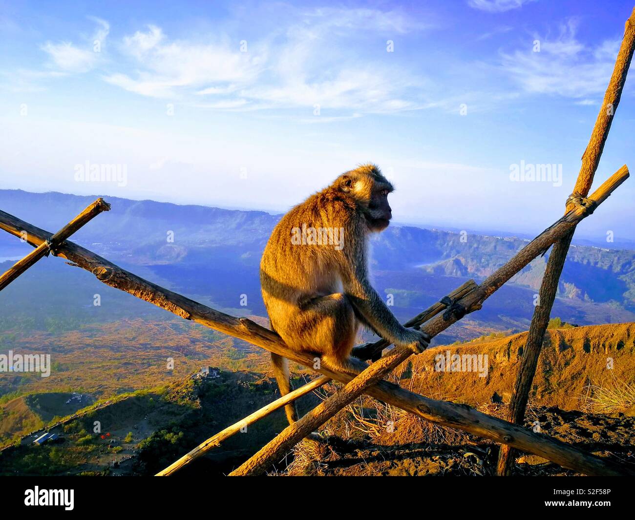 Monkey sunrise hi-res stock photography and images - Alamy