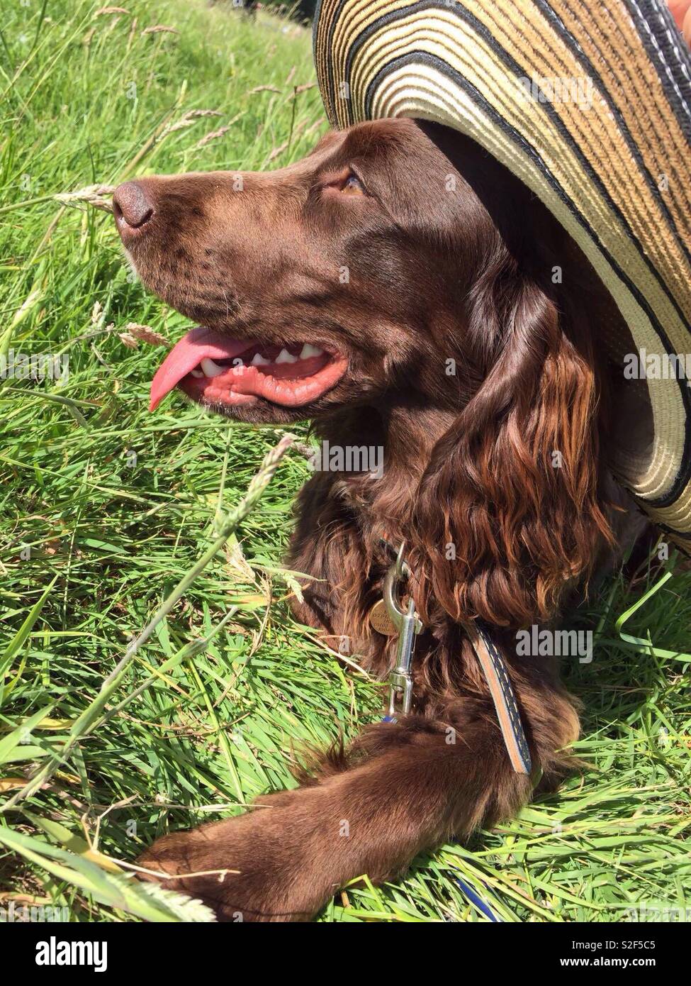 Keeping sun out hi-res stock photography and images - Alamy