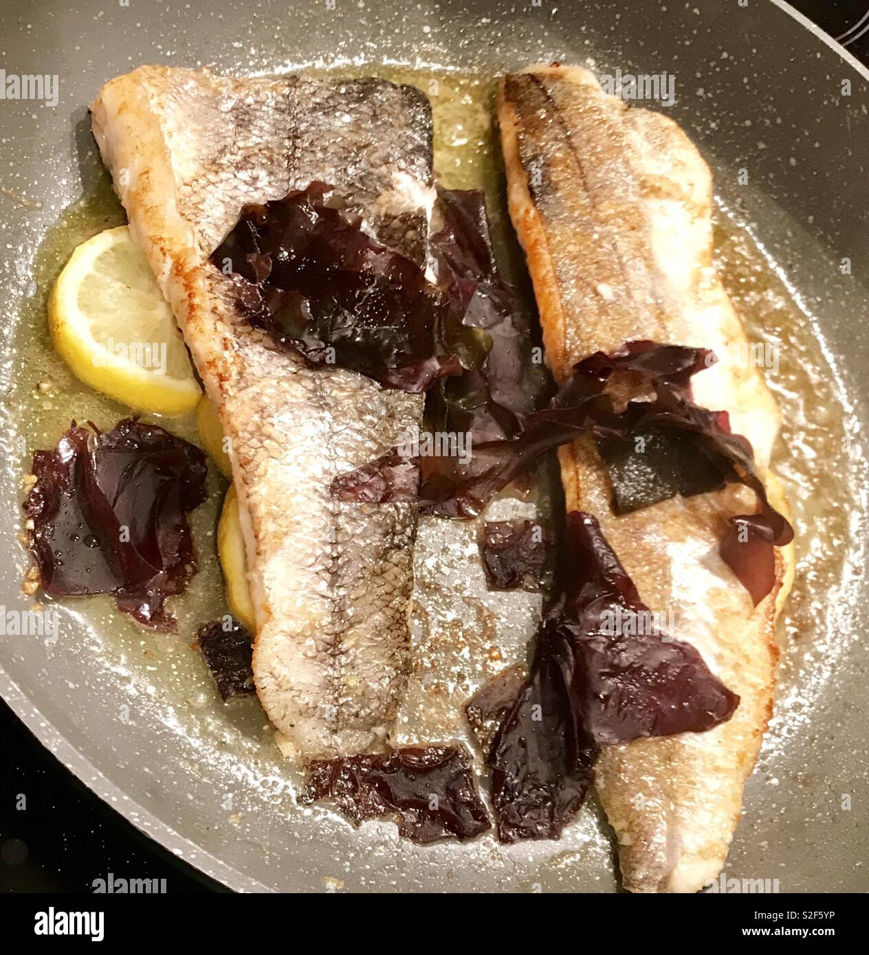 Hakefish hi-res stock photography and images - Alamy