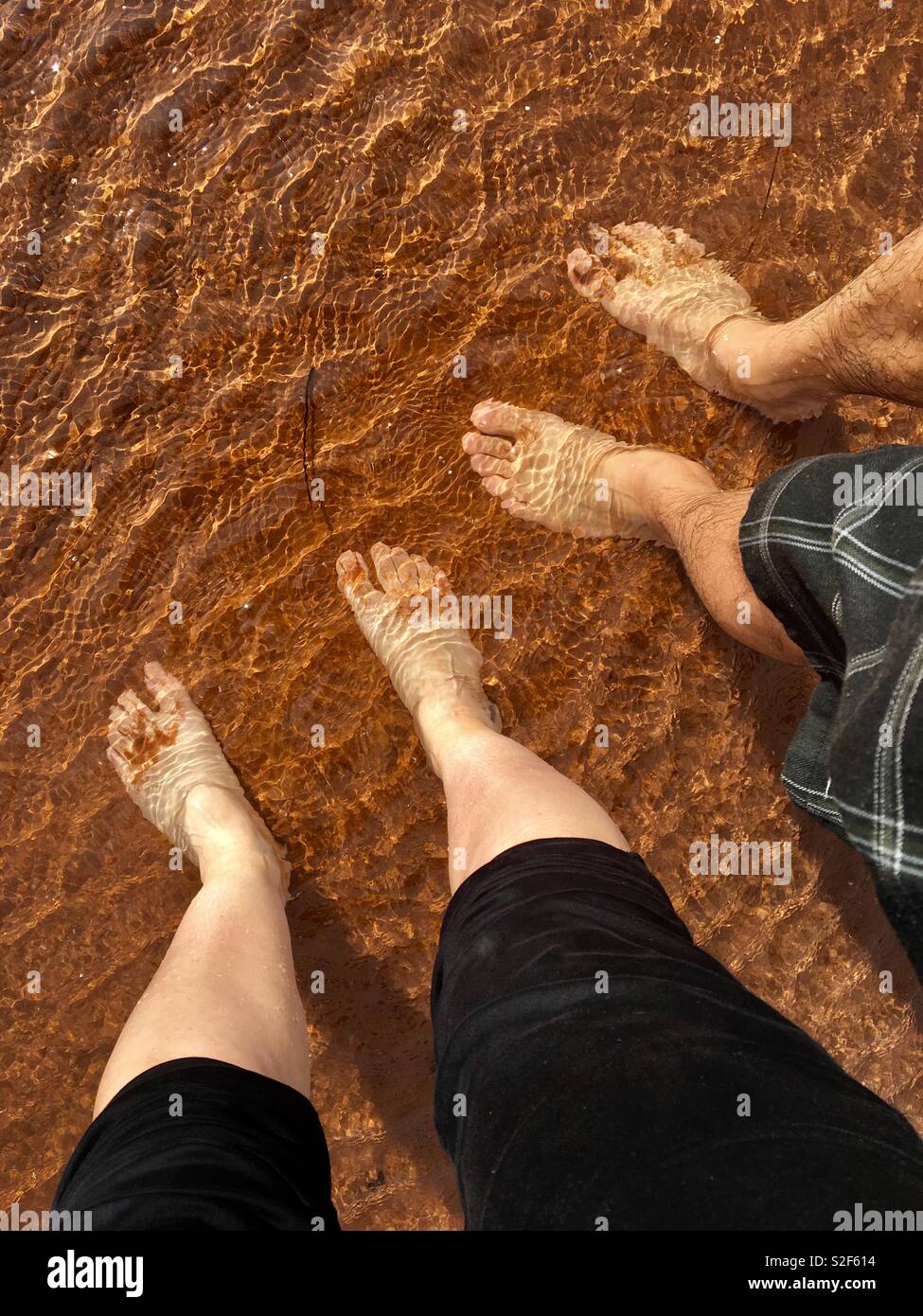 Couples feet in shallow water on a beach in Prince Edward Island Canada ...