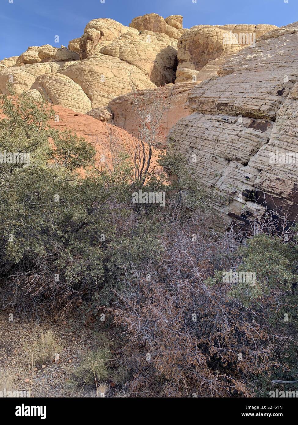 Red Rocks, Nevada Stock Photo - Alamy