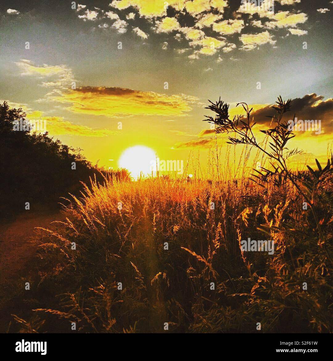 Sunset Bedfont Lakes Stock Photo - Alamy