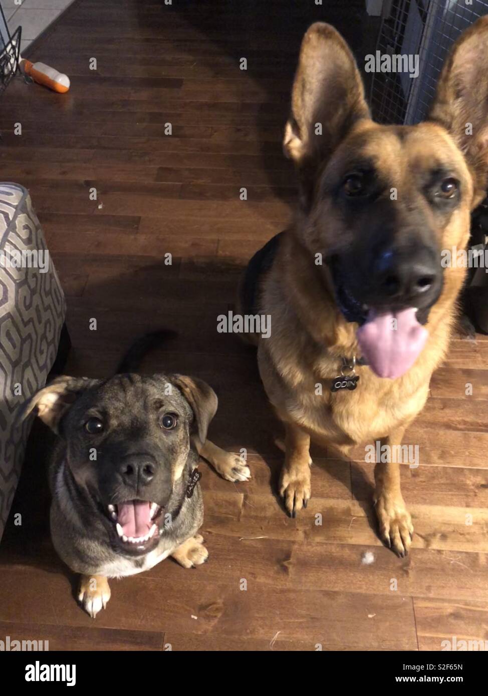 Smiles smiling hi-res stock photography and images - Alamy