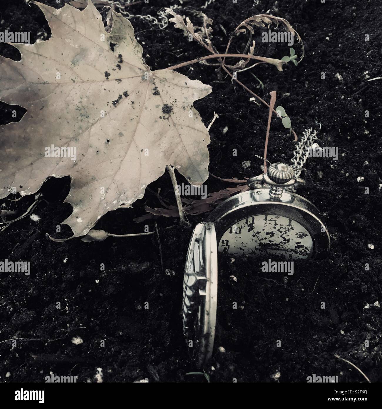 Pocket watch in dirt hi-res stock photography and images - Alamy