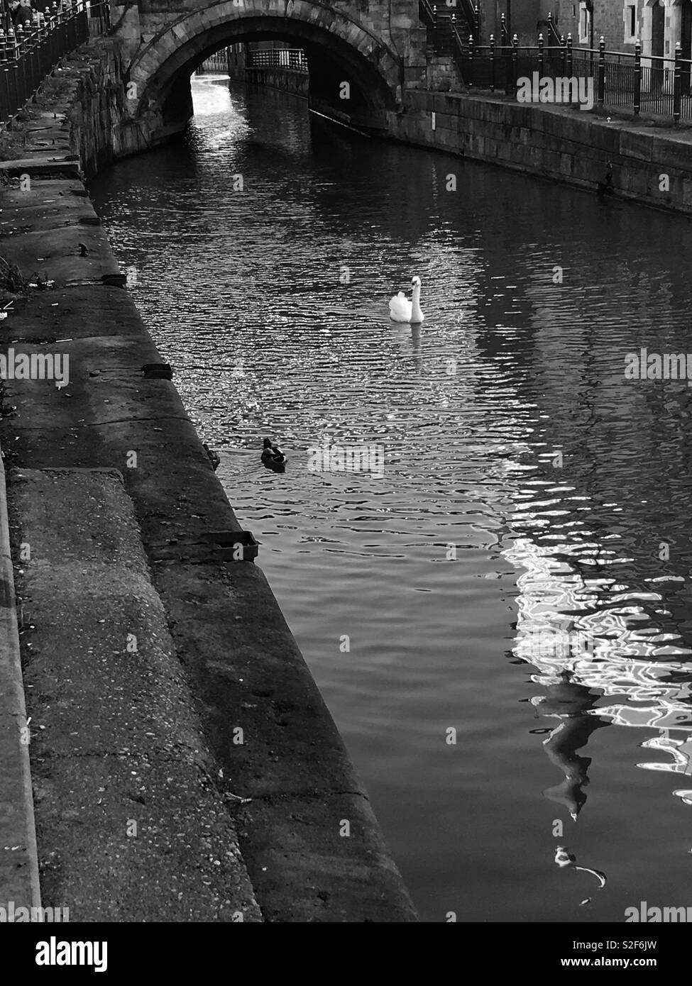 The swan bridge hi-res stock photography and images - Alamy