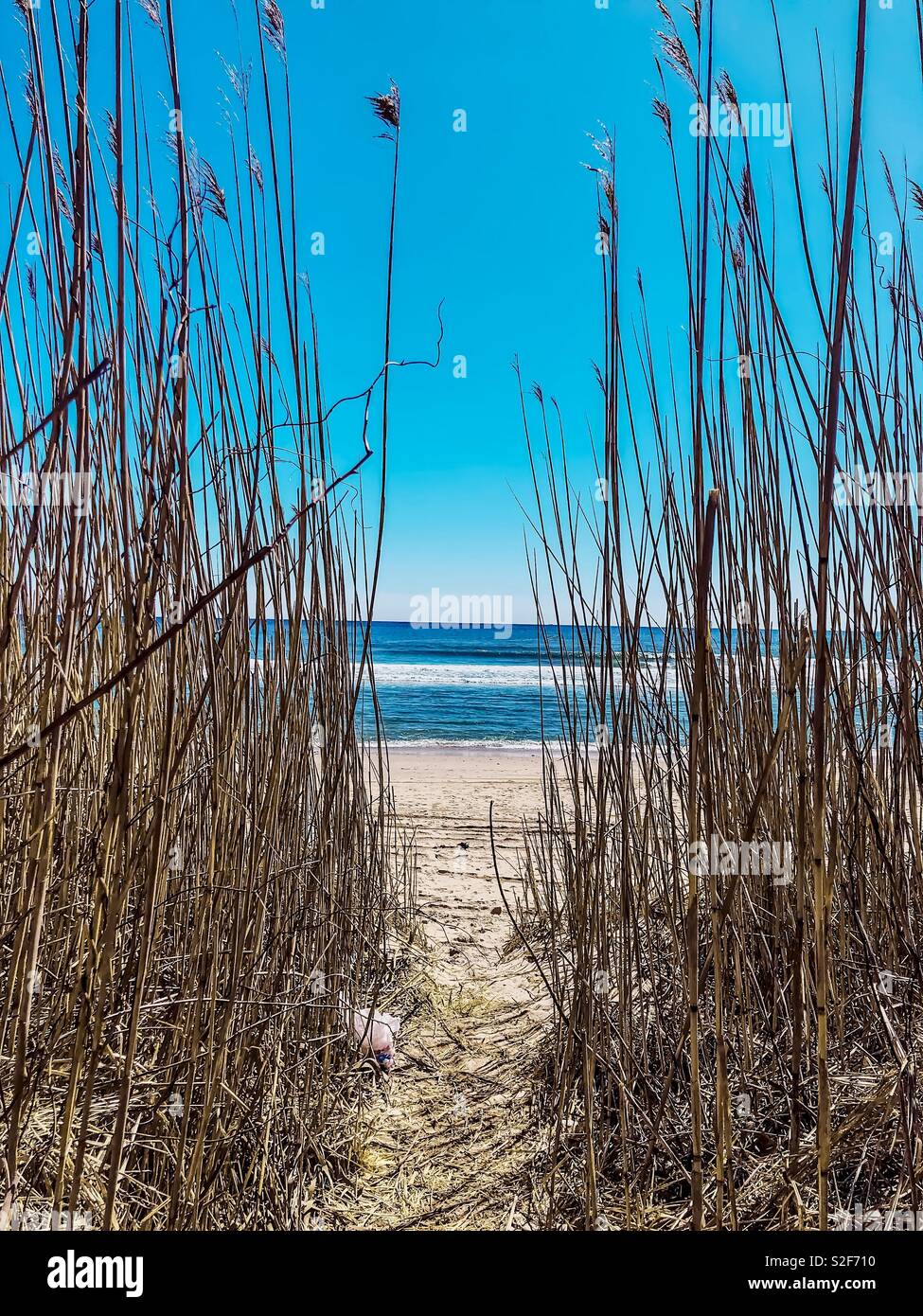 Ditch plains beach hi-res stock photography and images - Alamy