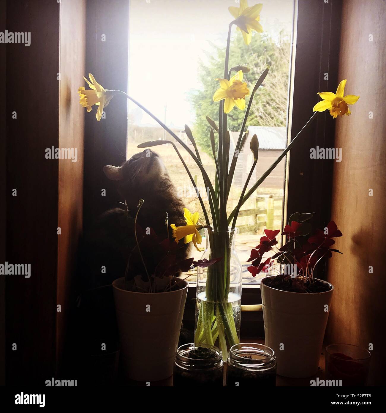 Spring smells hi-res stock photography and images - Alamy