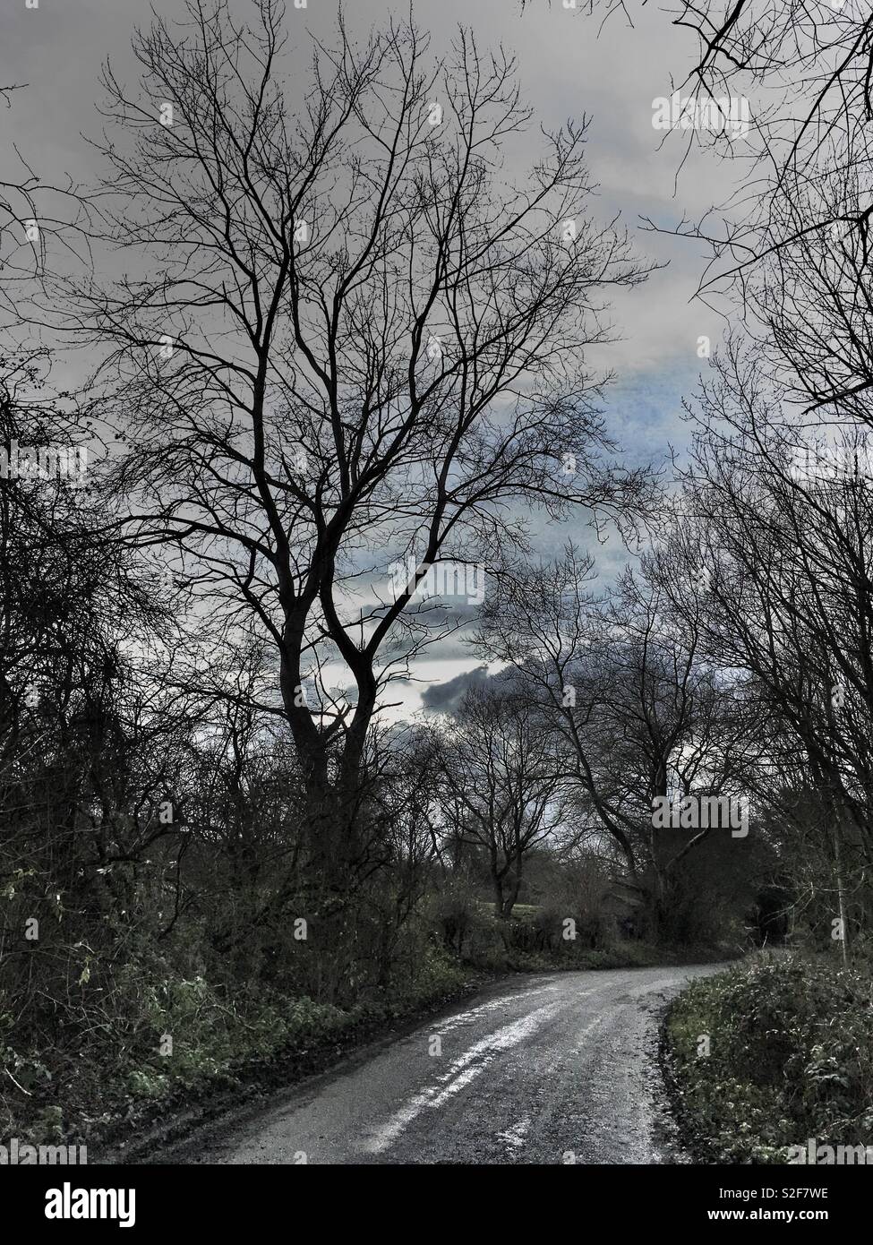 Countryside lane hi-res stock photography and images - Alamy