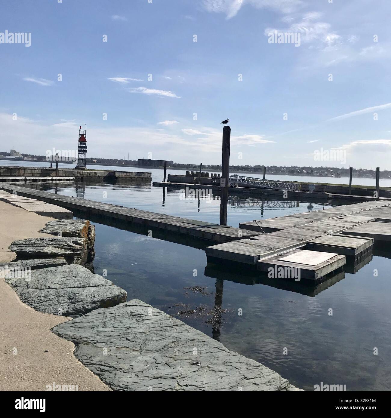 Harbor bird hi-res stock photography and images - Alamy