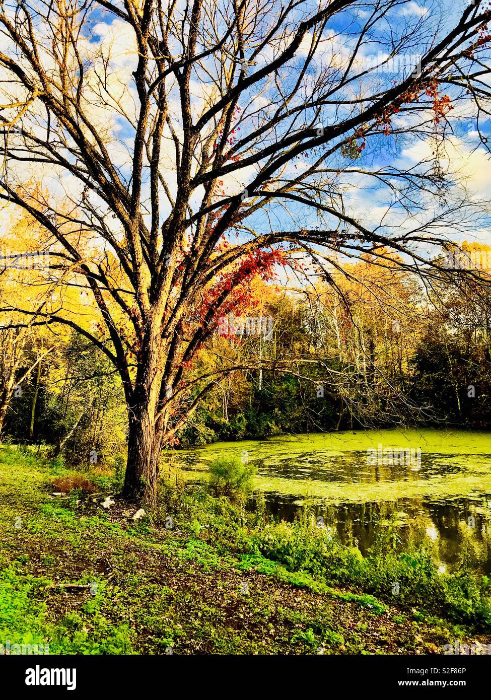 Country life is good Stock Photo - Alamy