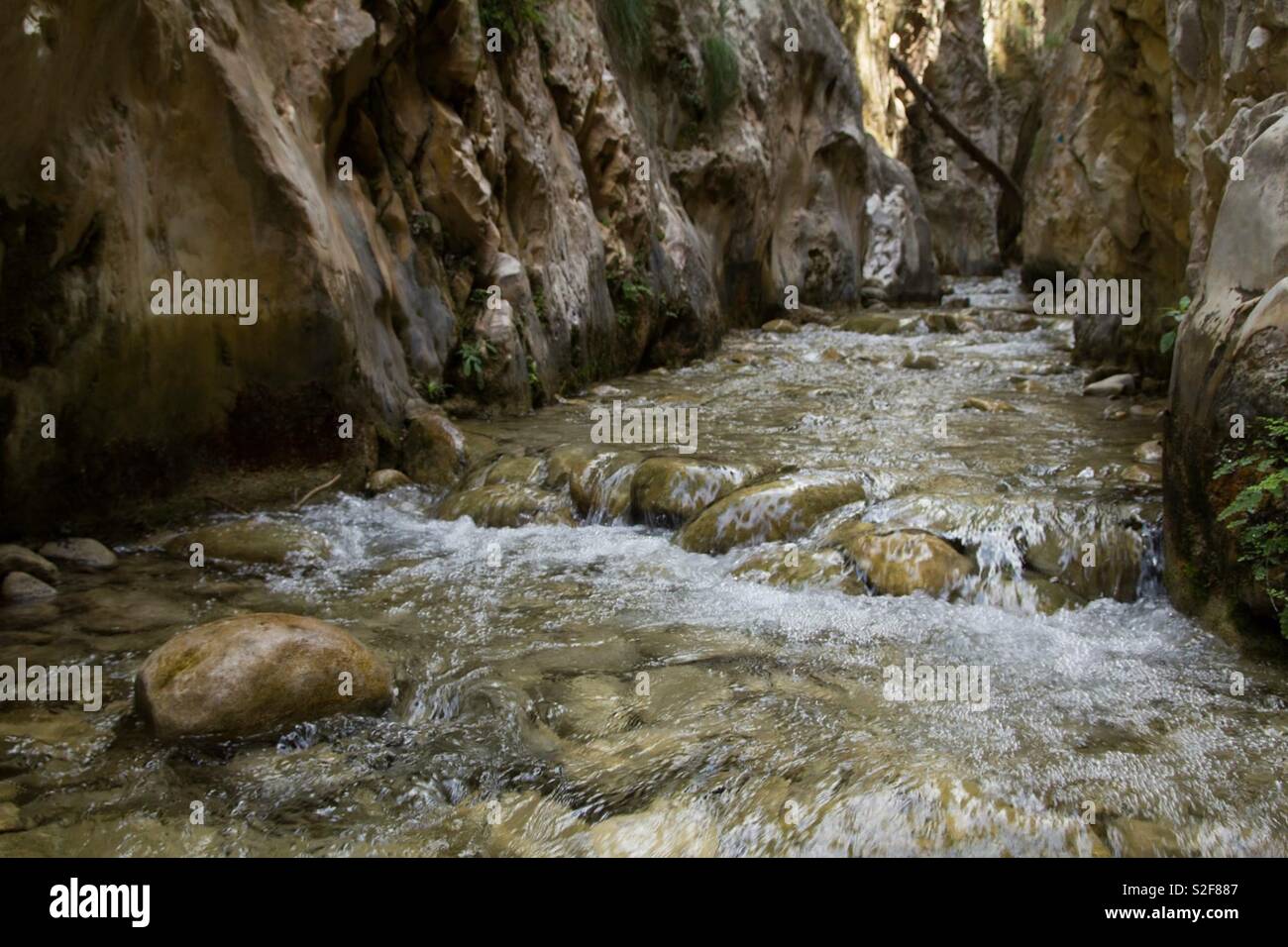 Chillar High Resolution Stock Photography and Images - Alamy