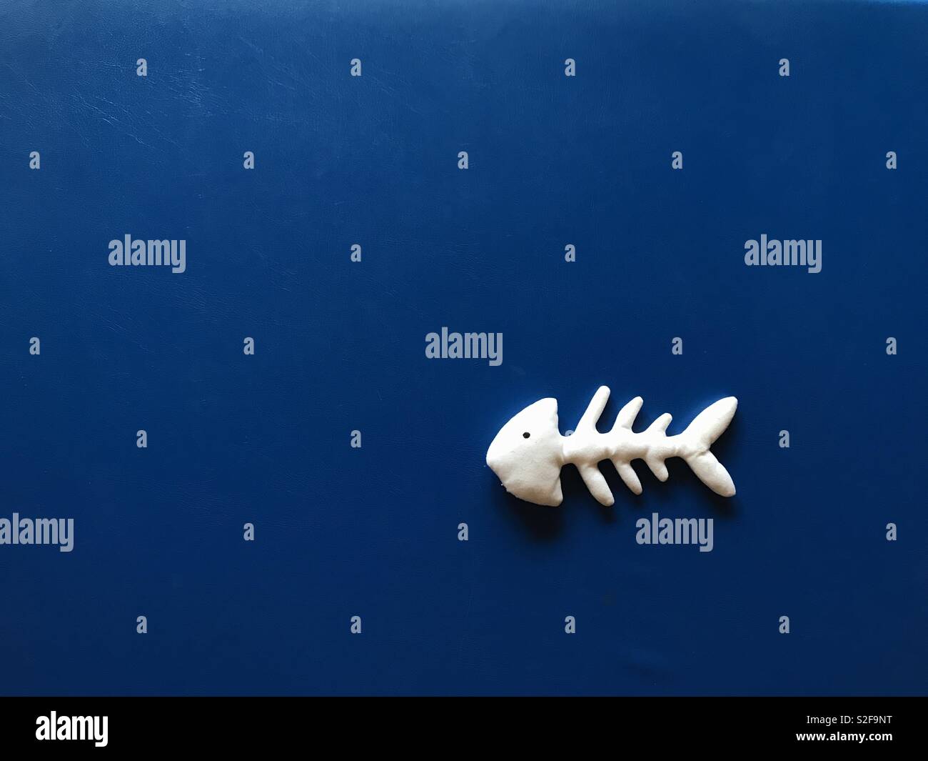 Fish skeleton on white hi-res stock photography and images - Alamy