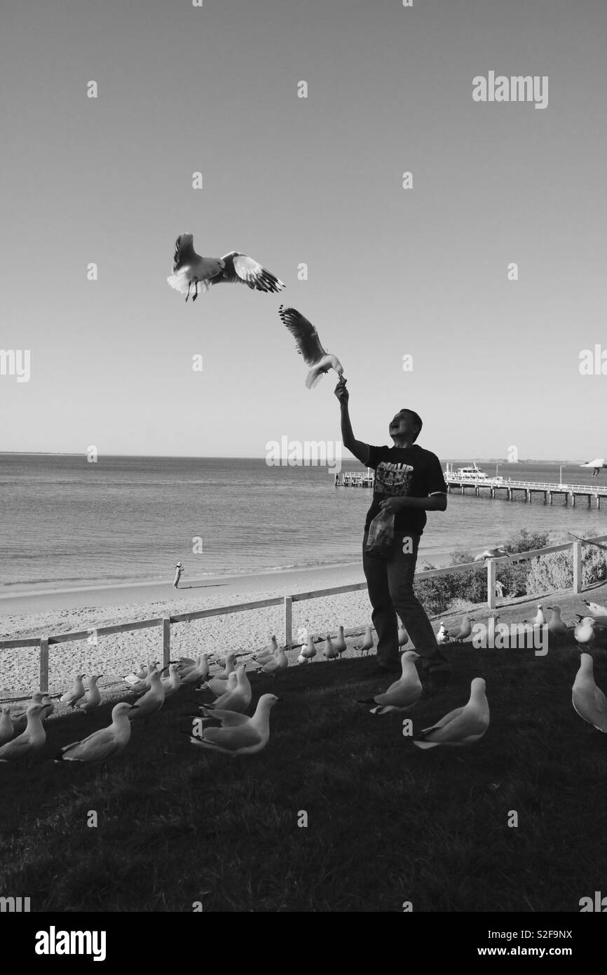 Man and birds hi-res stock photography and images - Alamy