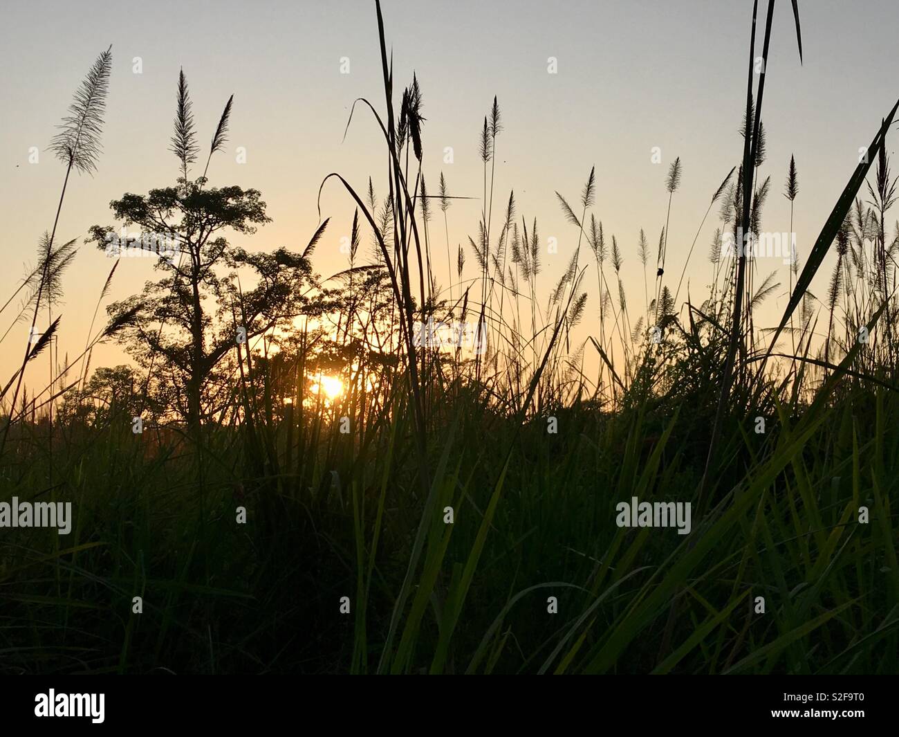 Sunset and fields hi-res stock photography and images - Alamy
