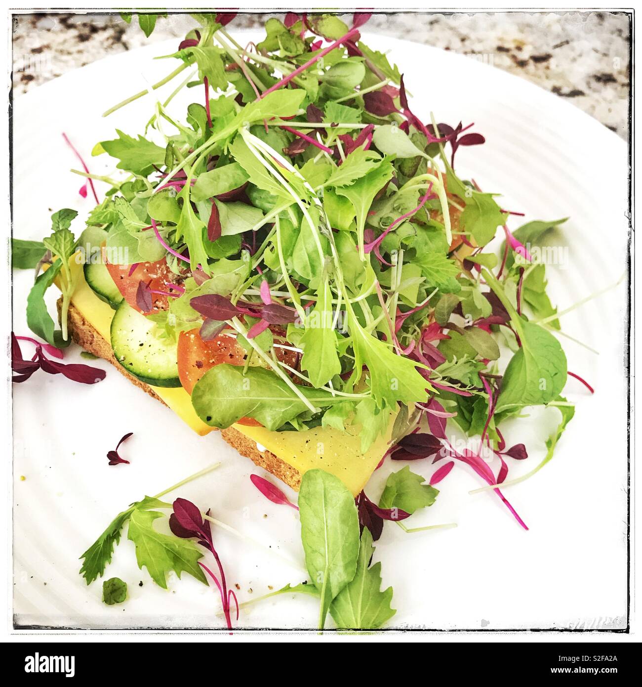 Micro leaves on sandwich Stock Photo - Alamy