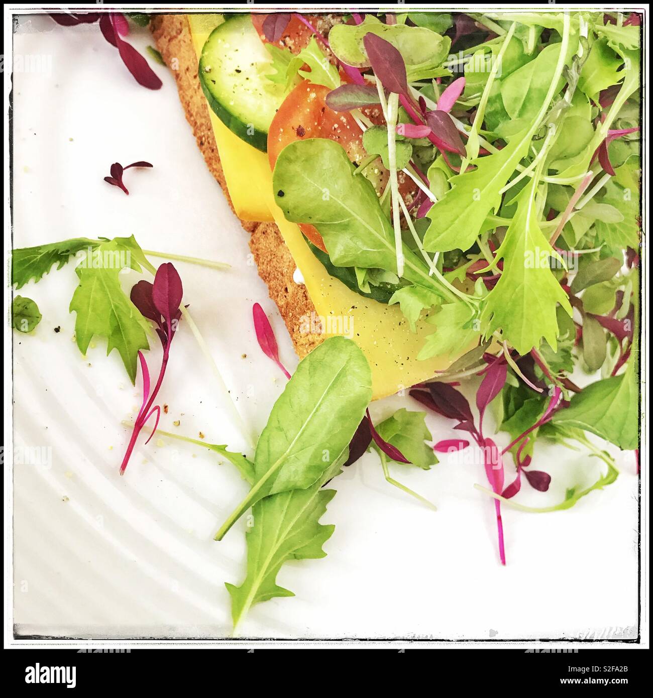 Micro leaves on sandwich Stock Photo - Alamy