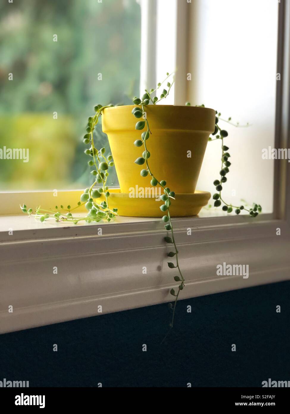 String of beads hi-res stock photography and images - Alamy