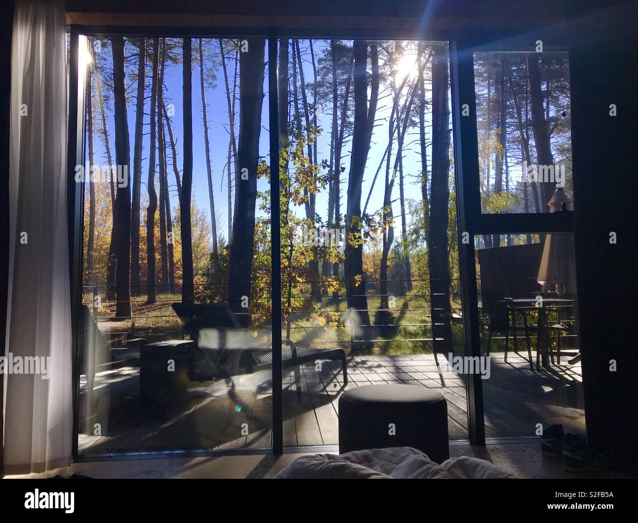 View Through Window Forest High Resolution Stock Photography and Images ...
