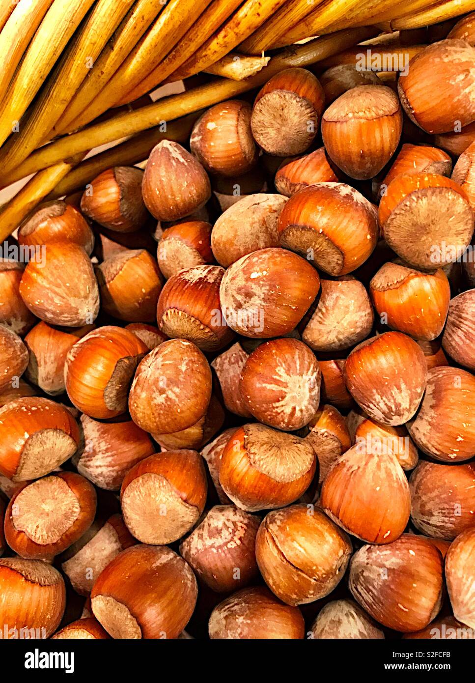 Filberts in their shells Stock Photo - Alamy