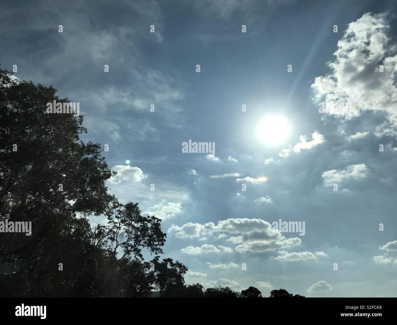 Nature scene with tree sky cloud and sun Stock Photo - Alamy