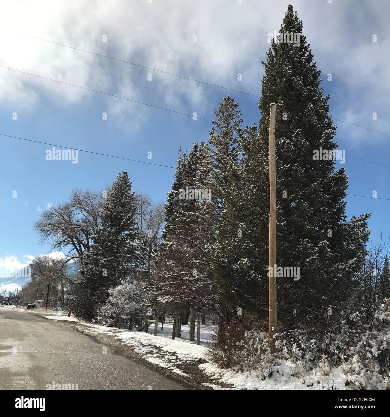 Trees lining street hi-res stock photography and images - Alamy