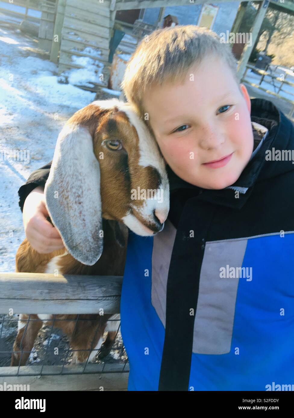 Boy and a goat Stock Photo - Alamy