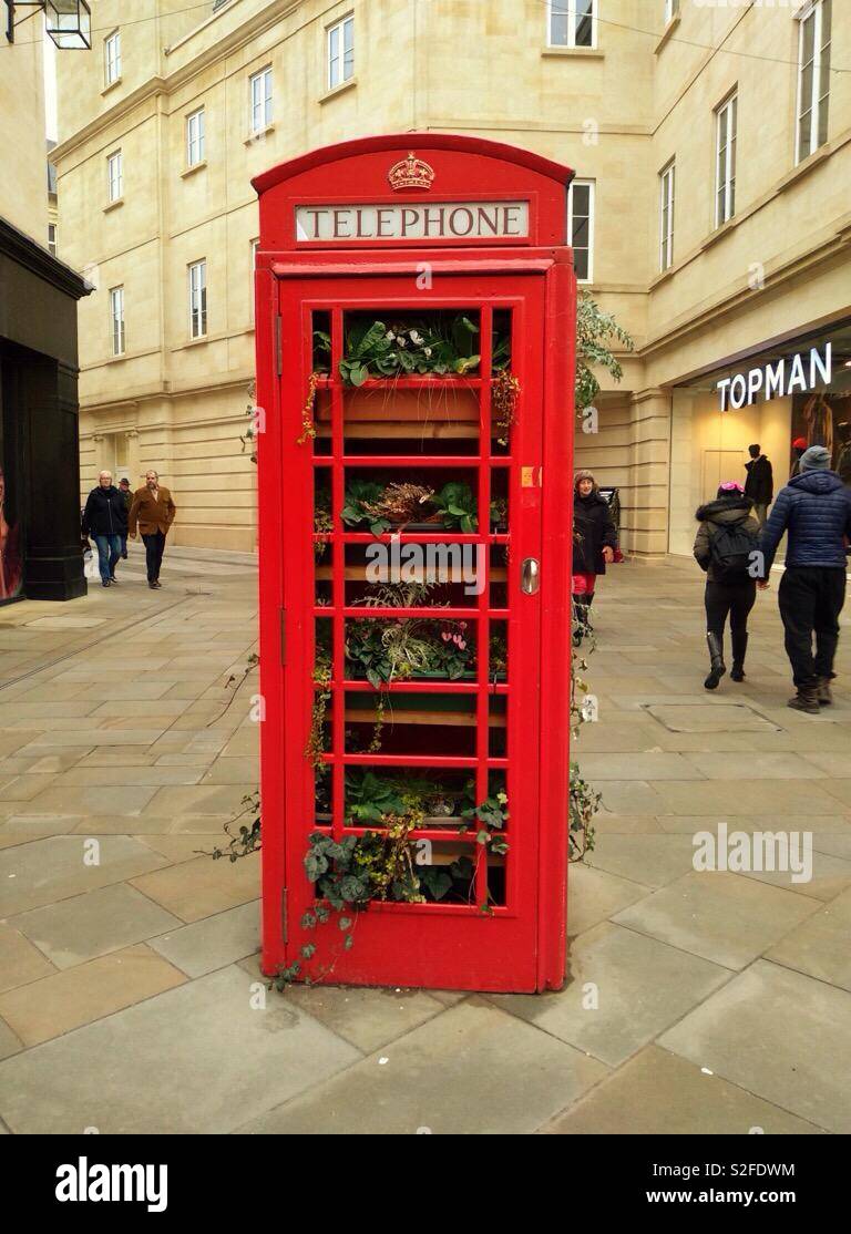 BT phone box repurposed as a planter plant box. Southgate shopping ...