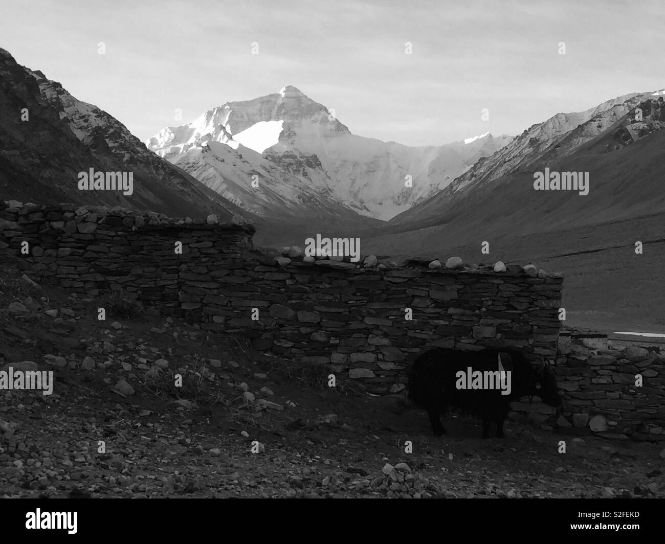 Mount Everest in the morning sun Stock Photo - Alamy