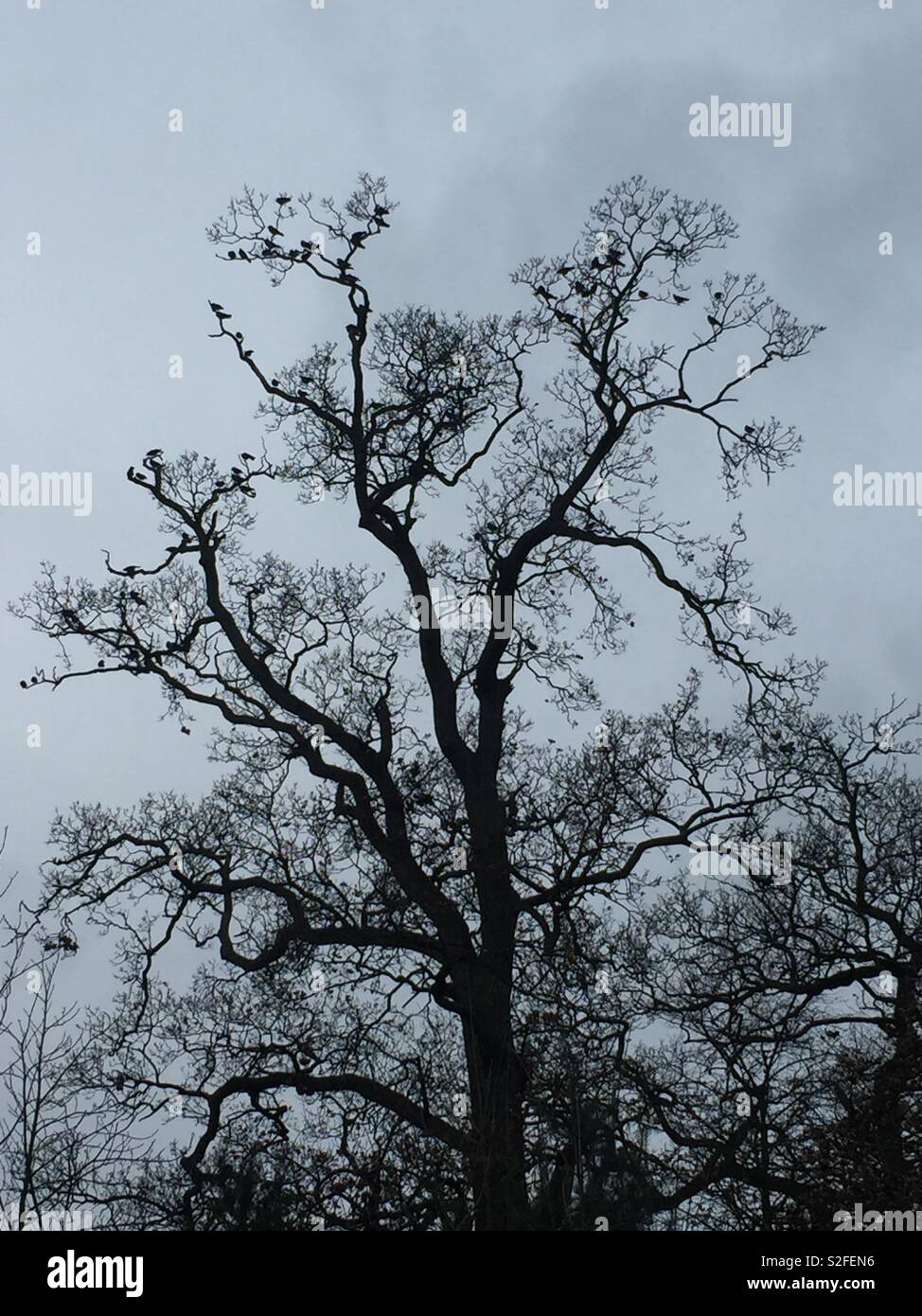 Darkness nature hi-res stock photography and images - Alamy