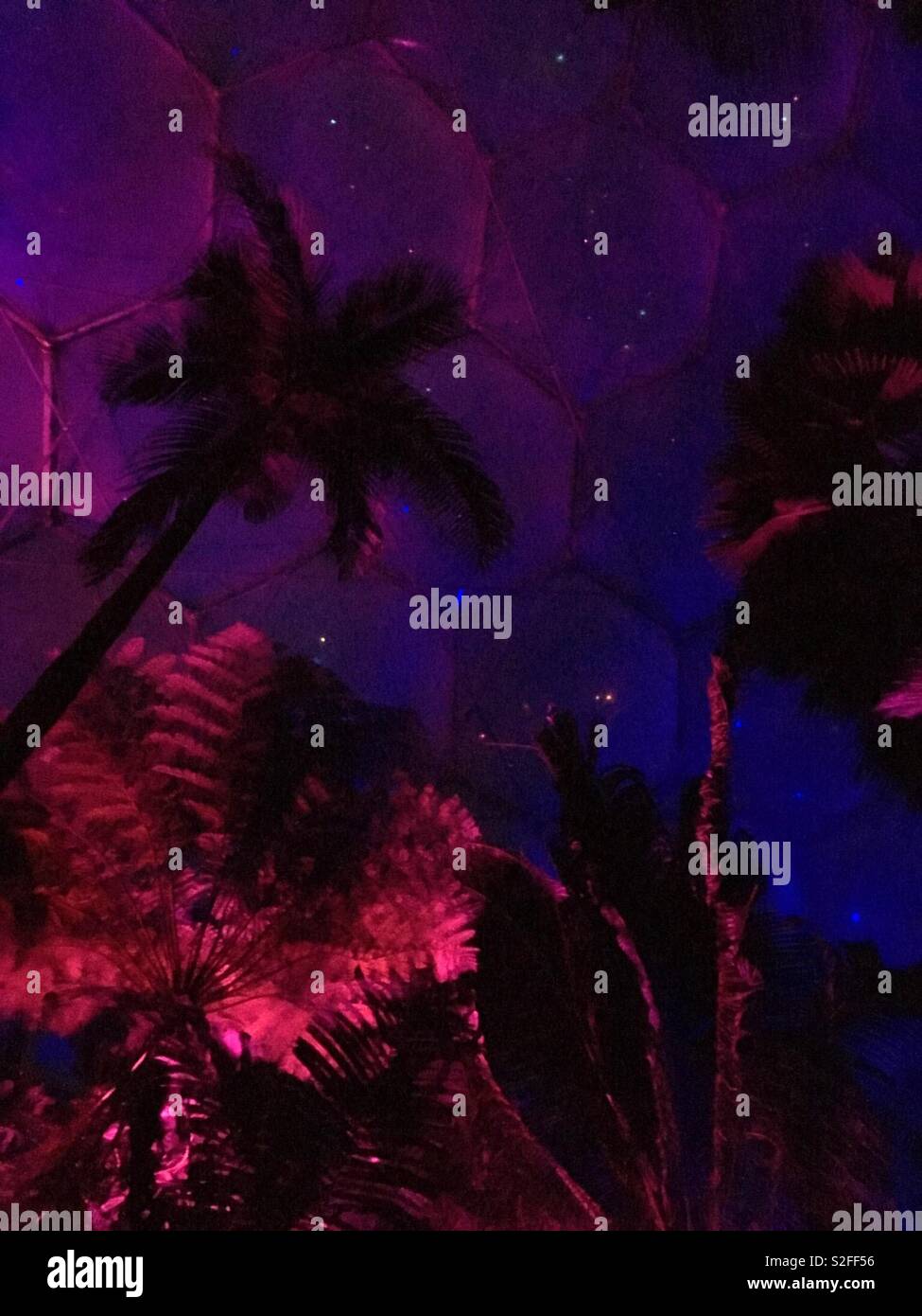 Eden project winter hi-res stock photography and images - Alamy