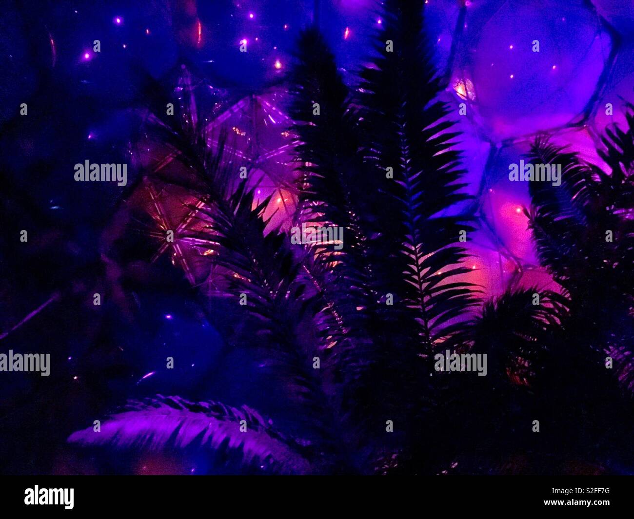 Eden Project Night High Resolution Stock Photography and Images - Alamy