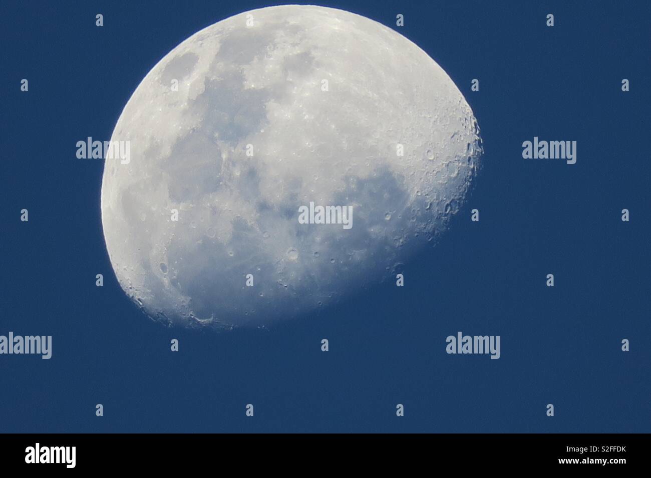 The Moon at daylight Stock Photo - Alamy