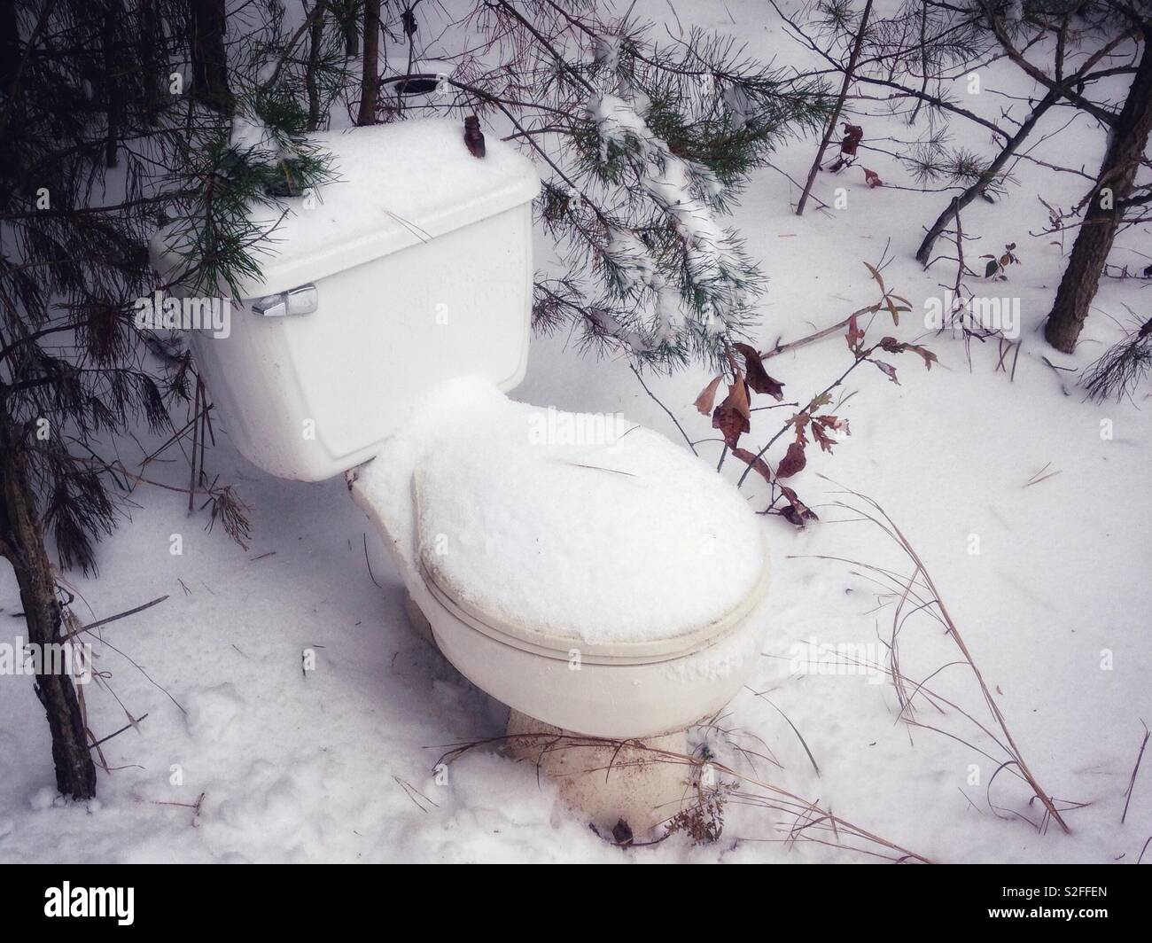 Pristine snowy scene with toilet in woods Stock Photo - Alamy