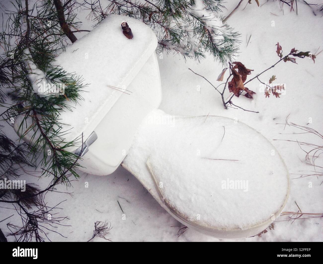 Toilet in the woods hi-res stock photography and images - Alamy