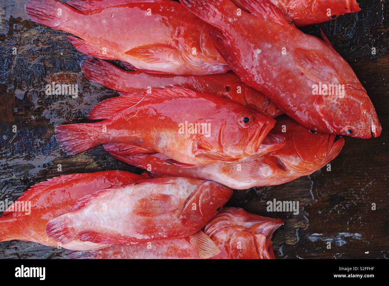 Fish: red snapper on a brown table. Ready for sale, fresh from the sea ...