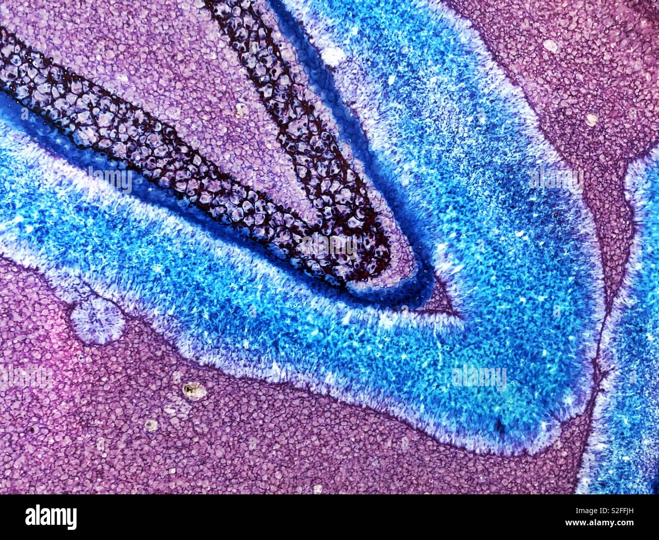 Abstract design hi-res stock photography and images - Alamy