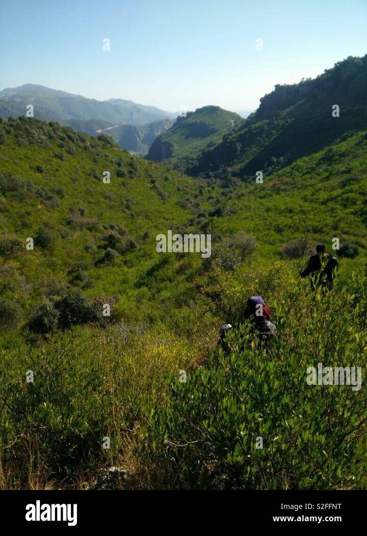 Sunday hike on the hills Stock Photo - Alamy