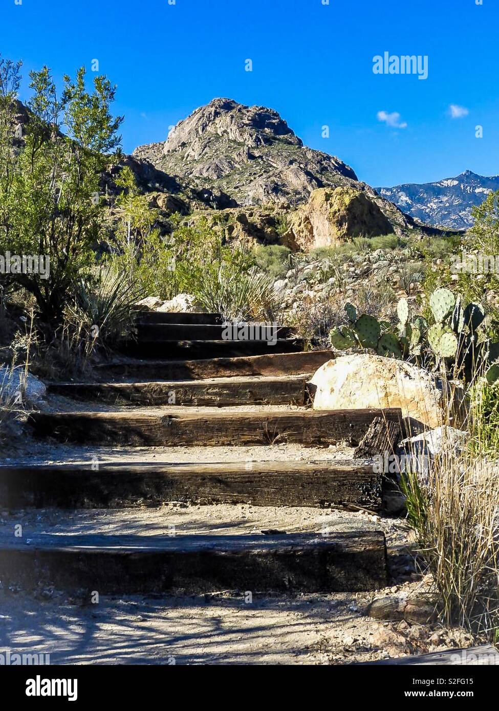 Canyon Loop Hike Tucson Arizona Stock Photo - Alamy