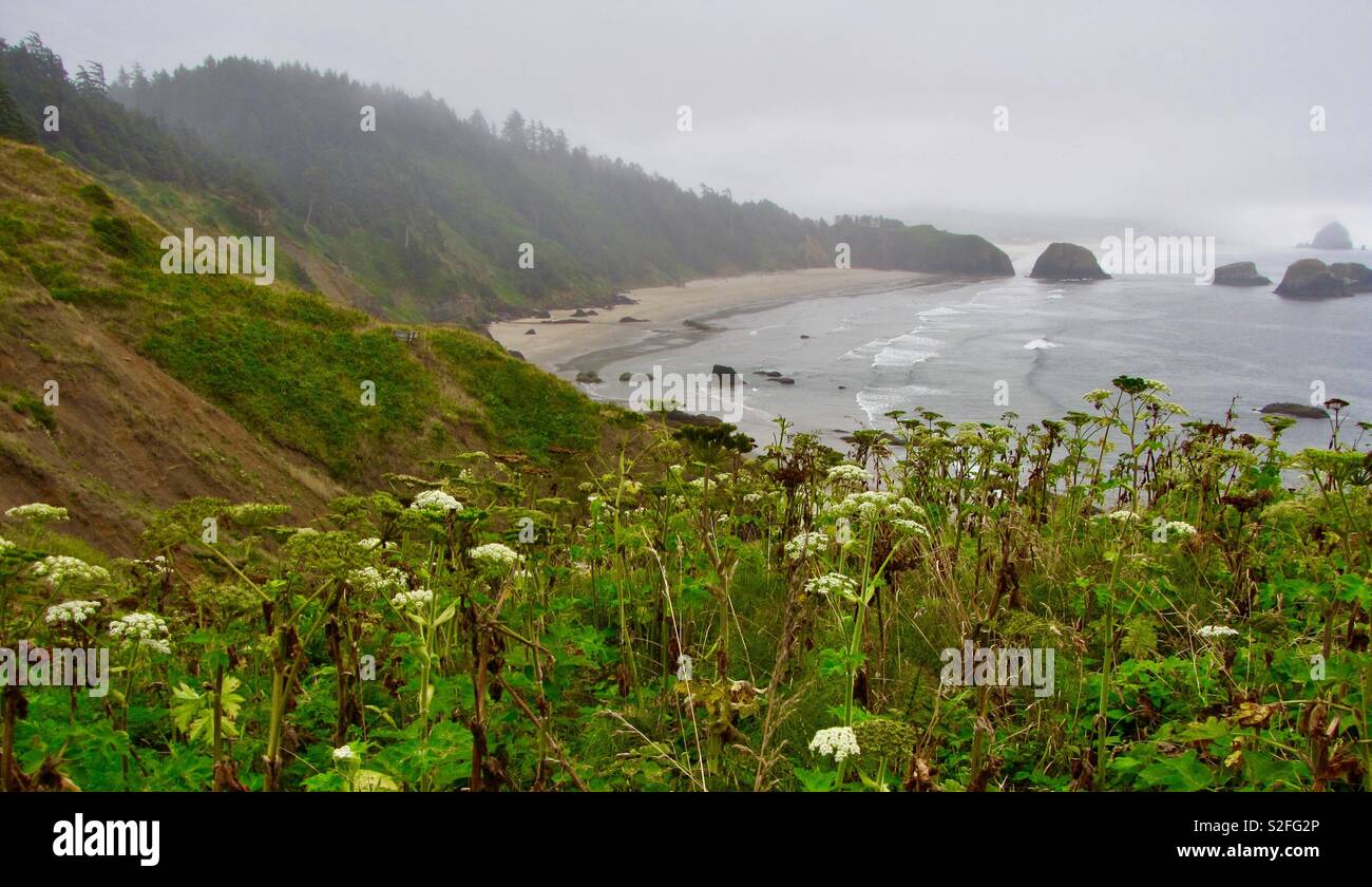 Ecola state park Stock Photo - Alamy