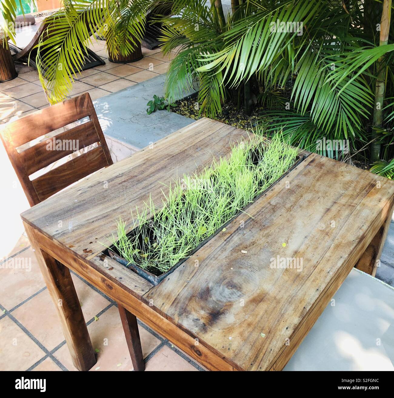 Grass table hi-res stock photography and images - Alamy